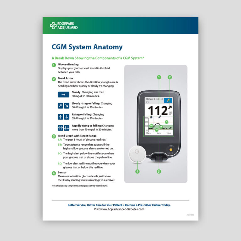 CGM System Anatomy | ADS Healthcare Provider Hub